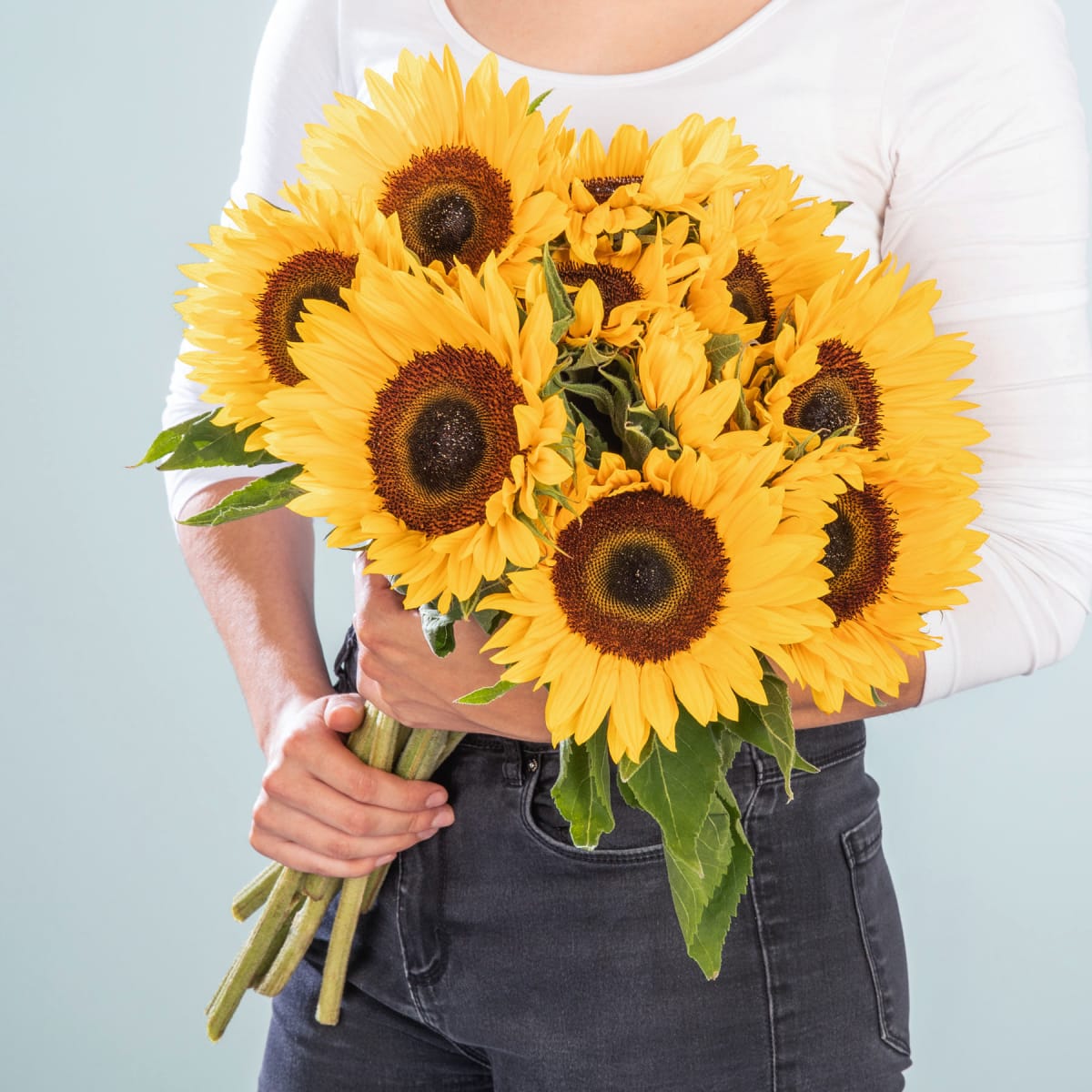 Sonnenblumen 10 Stiele - Blumen verschicken | Online Blumen bestellen