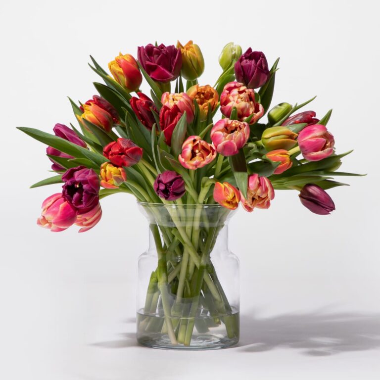 Mit diesen Tipps bleiben Ihre Schnittblumen besonders lange frisch ...